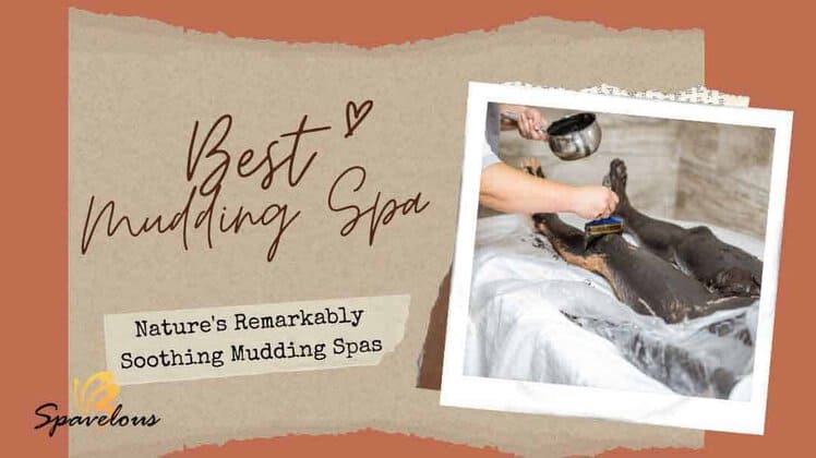 Top 10 Best Mudding Spas In The USA | Spavelous