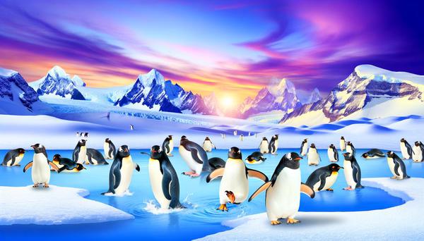 10 Fascinating Facts: Penguins And Their Pebble Rituals