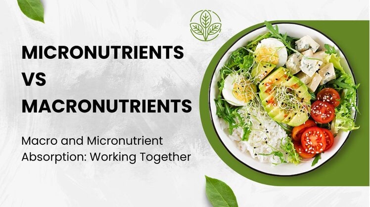 Micronutrients Vs. Macronutrients: Understanding Macros For Better ...
