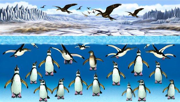 Why Wonder About Penguins That Can't Fly?