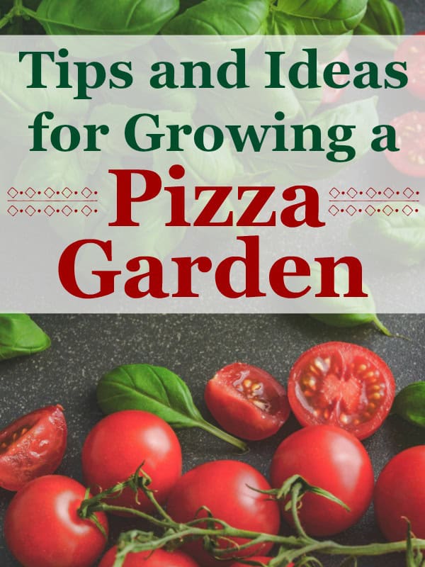 Grow Your Own Pizza-Themed Garden - My Homemade Roots