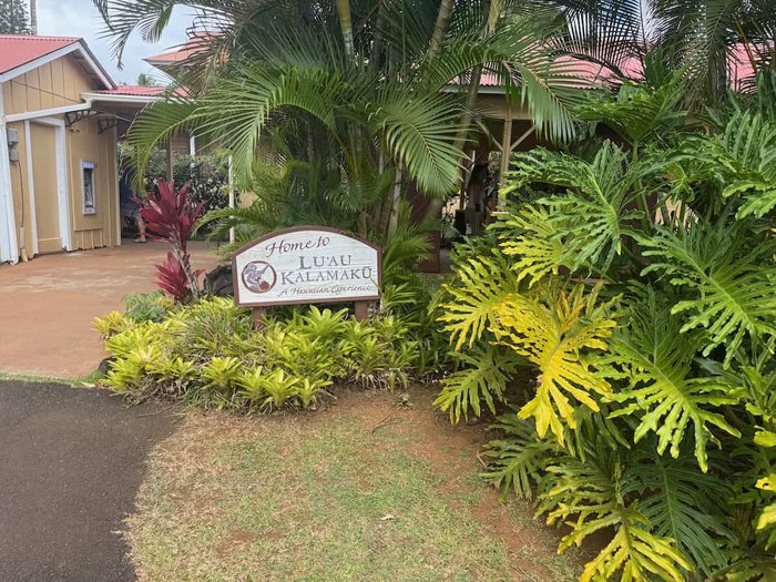 5 Best Kauai Luaus: Which One is Worth It?