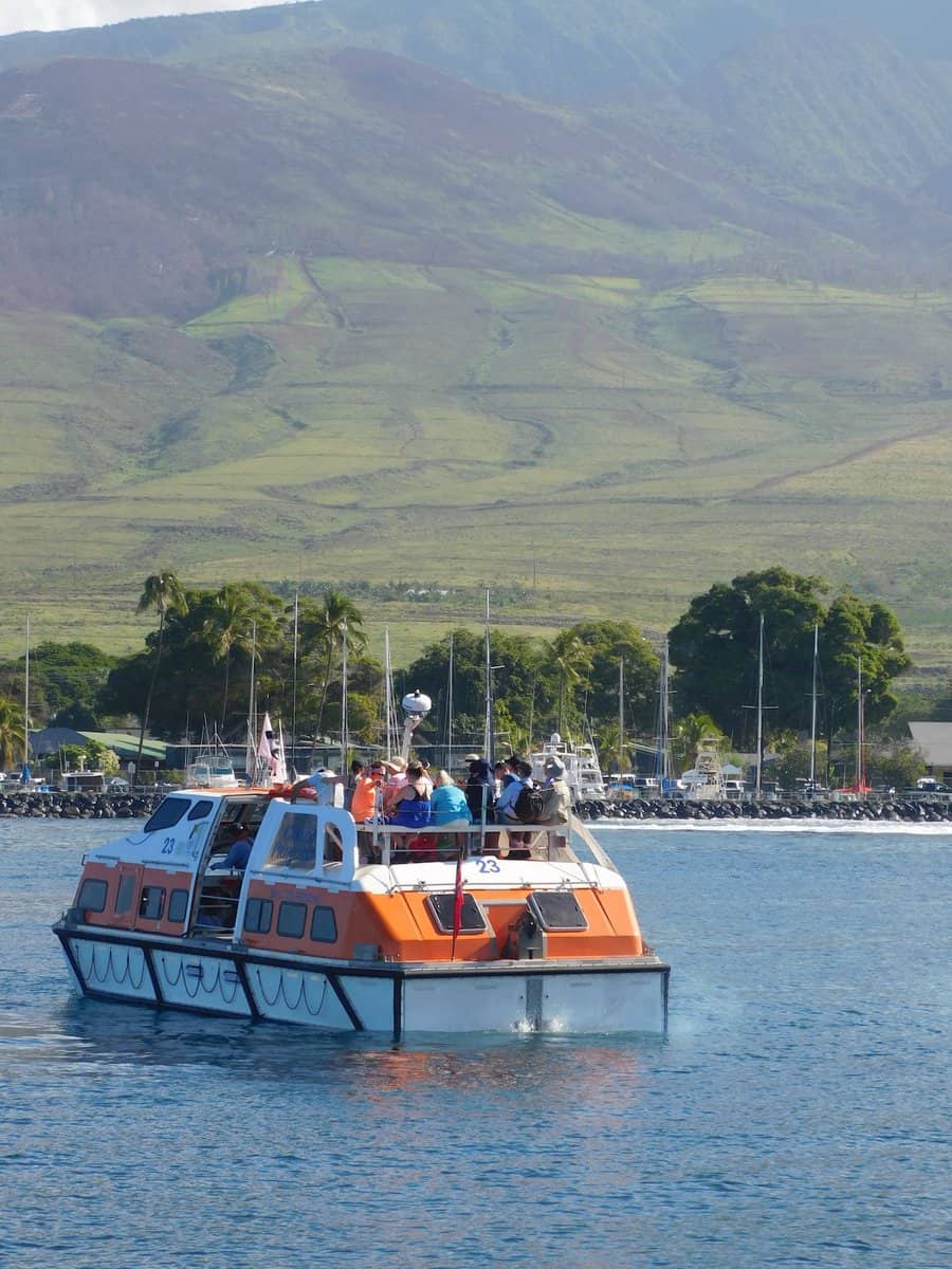 Maui from a Cruise Ship: 27 Shore Excursions in Kahului & Lahaina
