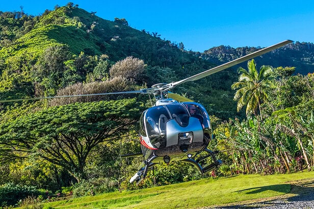 Hana Rainforest Experience by Maverick Helicopters Maui: Explore ...
