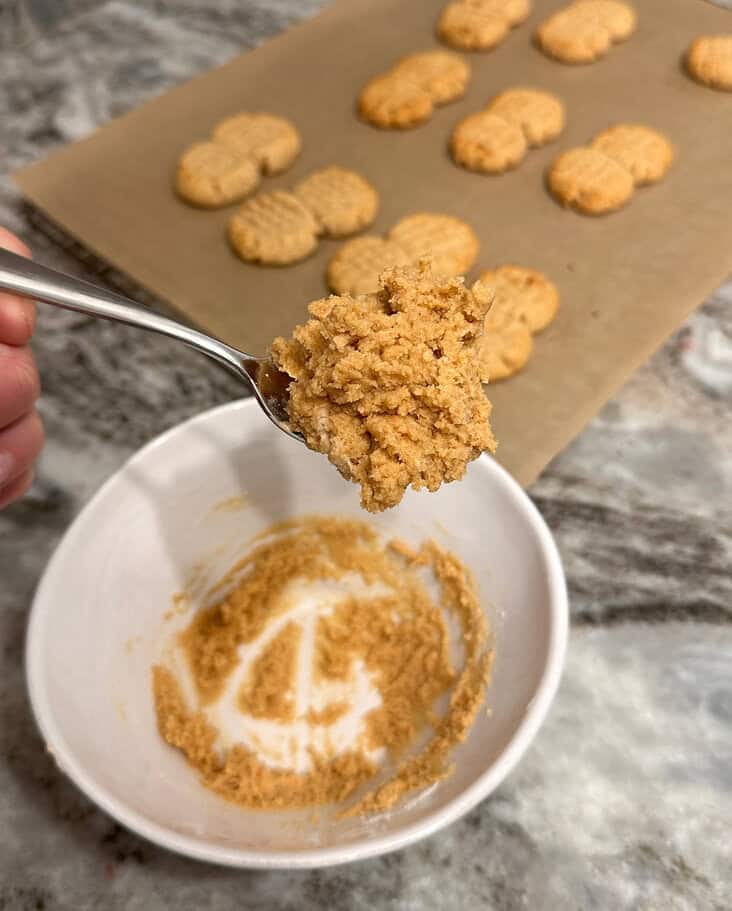 Protein Nutter Butter Cookies