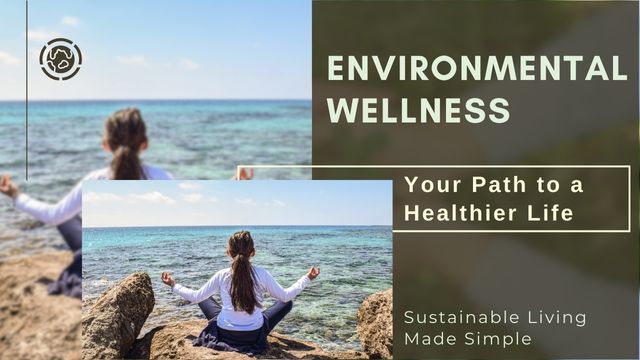 Environmental Wellness: Transform Your Space, Change Your Life | Spavelous