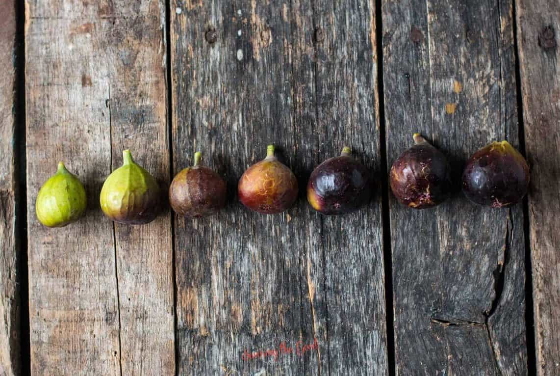 Homemade Fig Preserves Recipe Without Pectin