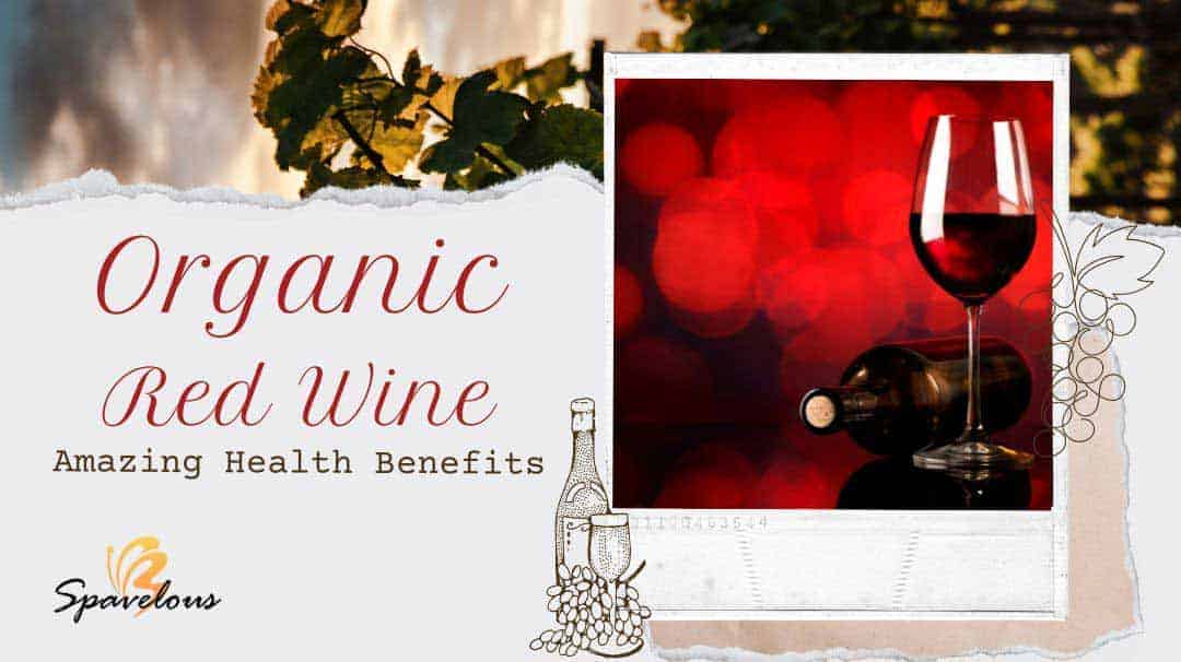 Organic Red Wine: Amazing Benefits Of Organic Wine