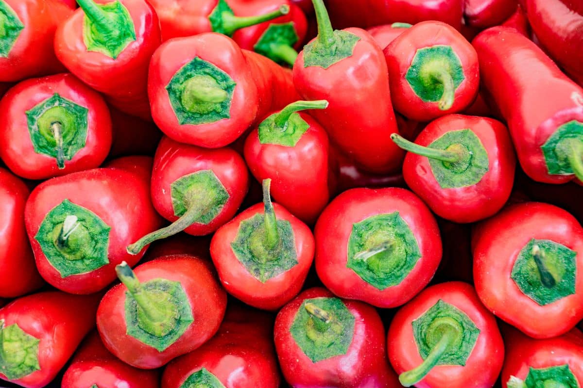 Best Substitutes For Pickling Spice - Food Champs