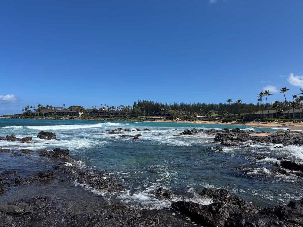 Sea House Restaurant in Napili Bay, Maui Review
