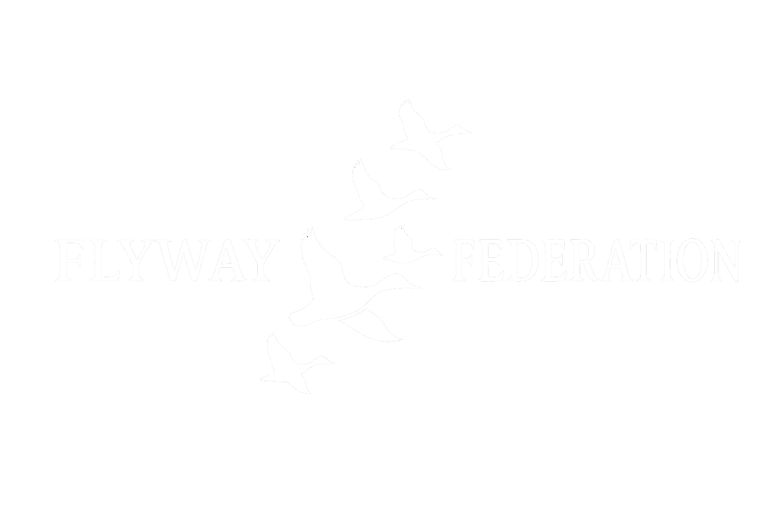 Welcome - Flyway Federation USA
