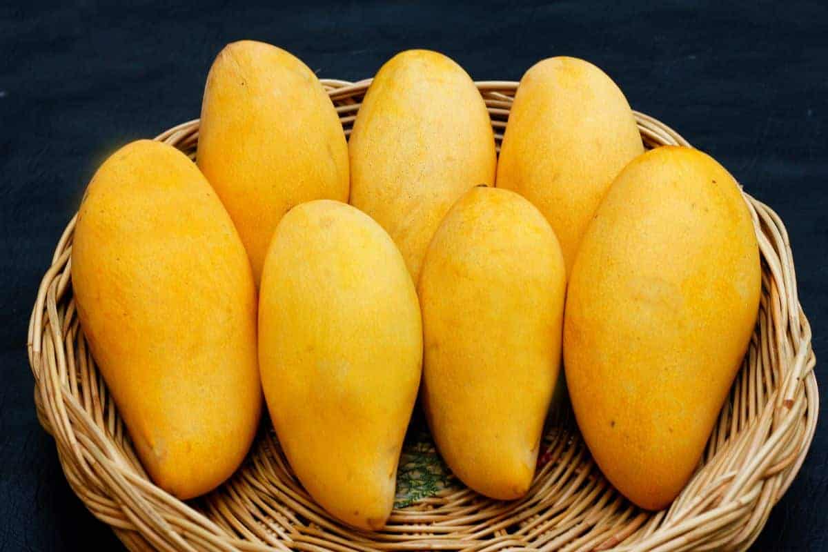 A Guide On How To Tell If A Mango Is Ripe - Food Champs