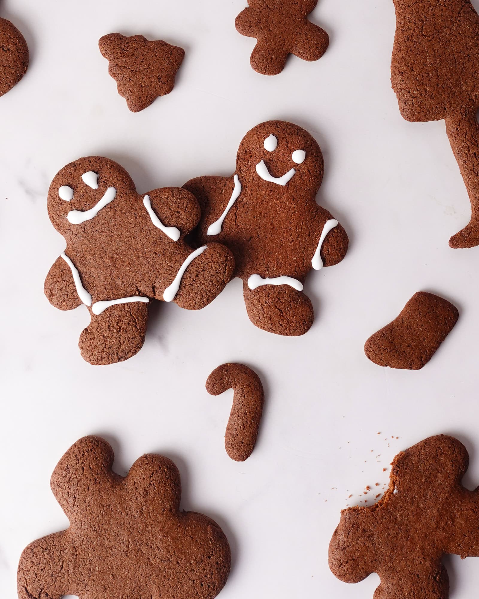 Chocolate Gingerbread Cookies (High-Protein)