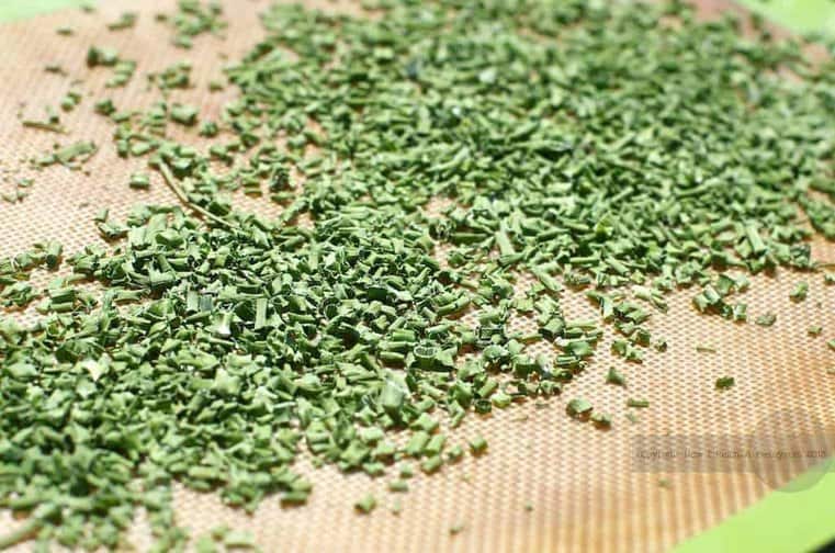 How to Dry Chives: Freezing, Sun Drying, and Storing