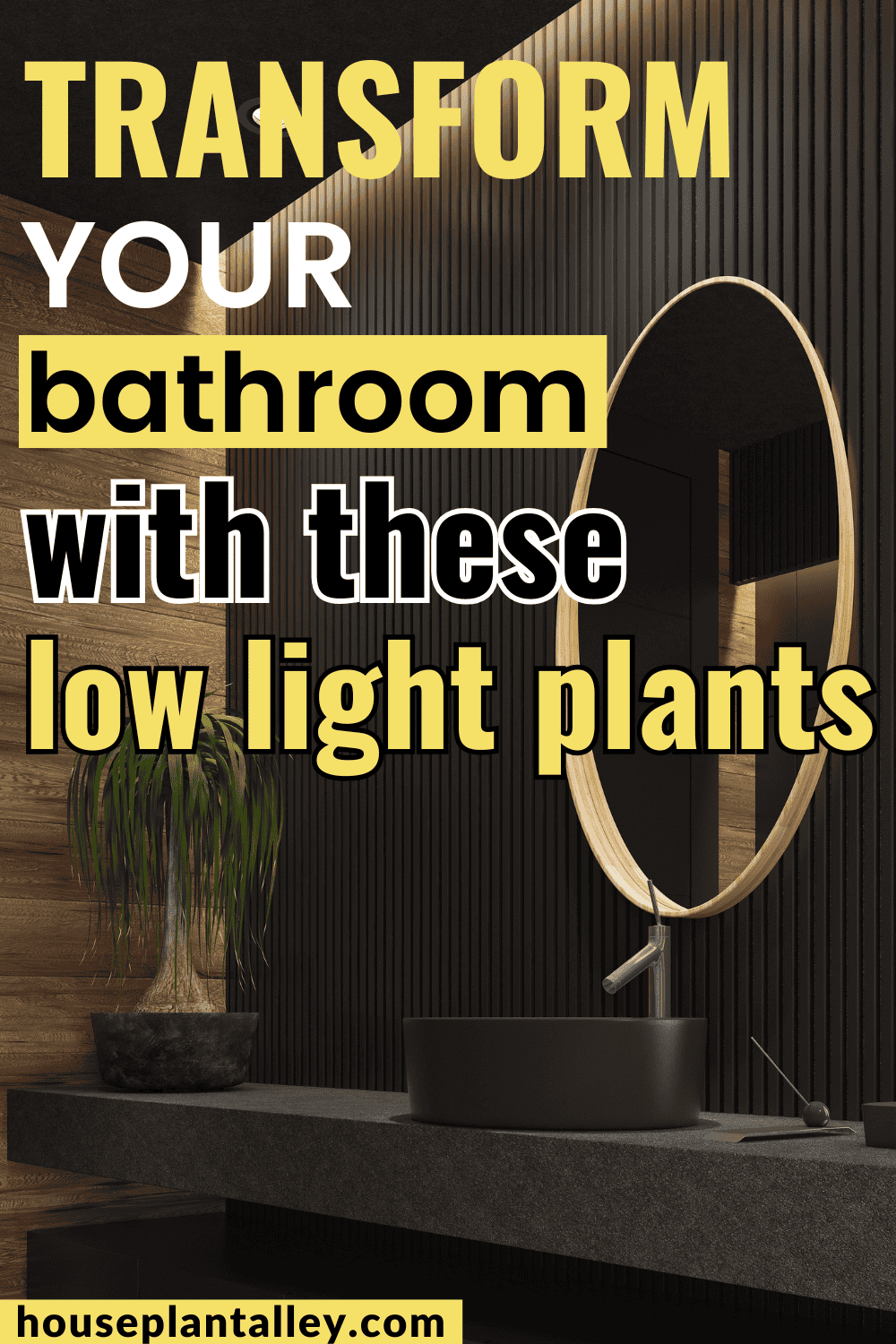 Best Low Light Plants for Your Windowless Bathroom | Houseplant Alley