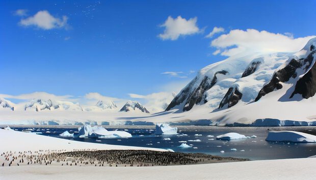 Facts About Where Penguins Live And Their Diverse Habitats