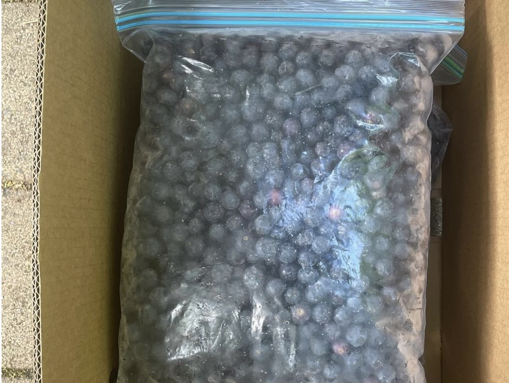 RNR farms frozen blueberries - Roadside Stalls