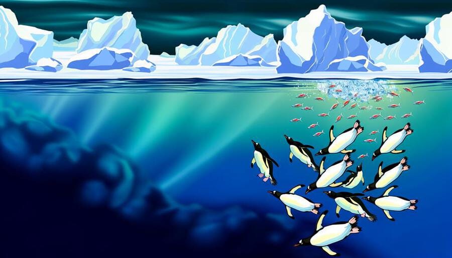 Penguins Thrive In Warm Climates: 3 Noteworthy Species