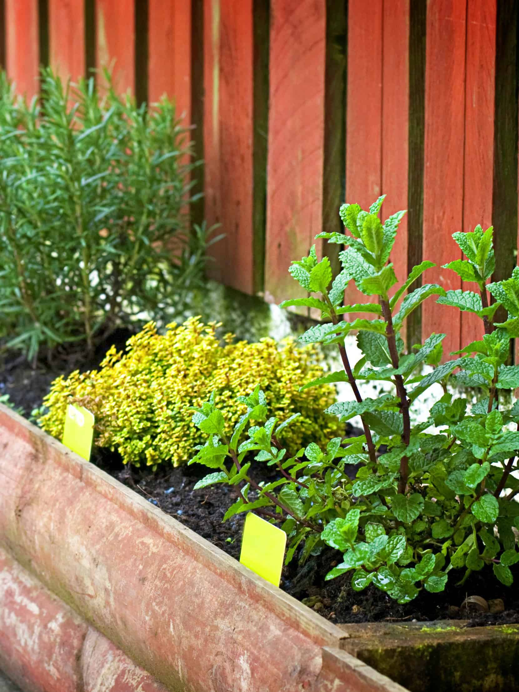 15 Old-Fashioned Gardening Tips from Our Grandparents (That Still Work ...