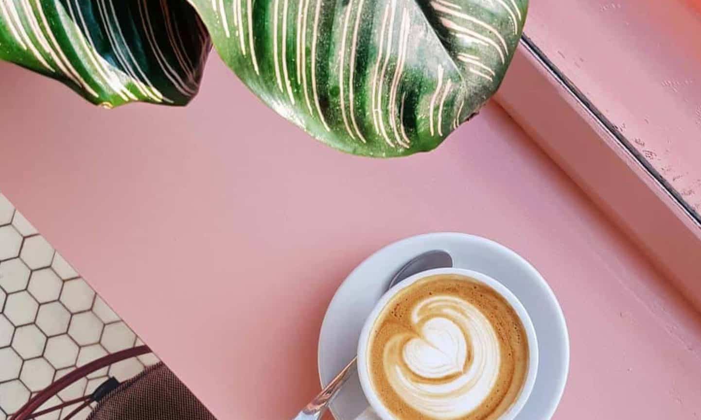 Oily Film On Coffee: Has Your Coffee Gone Bad On You?