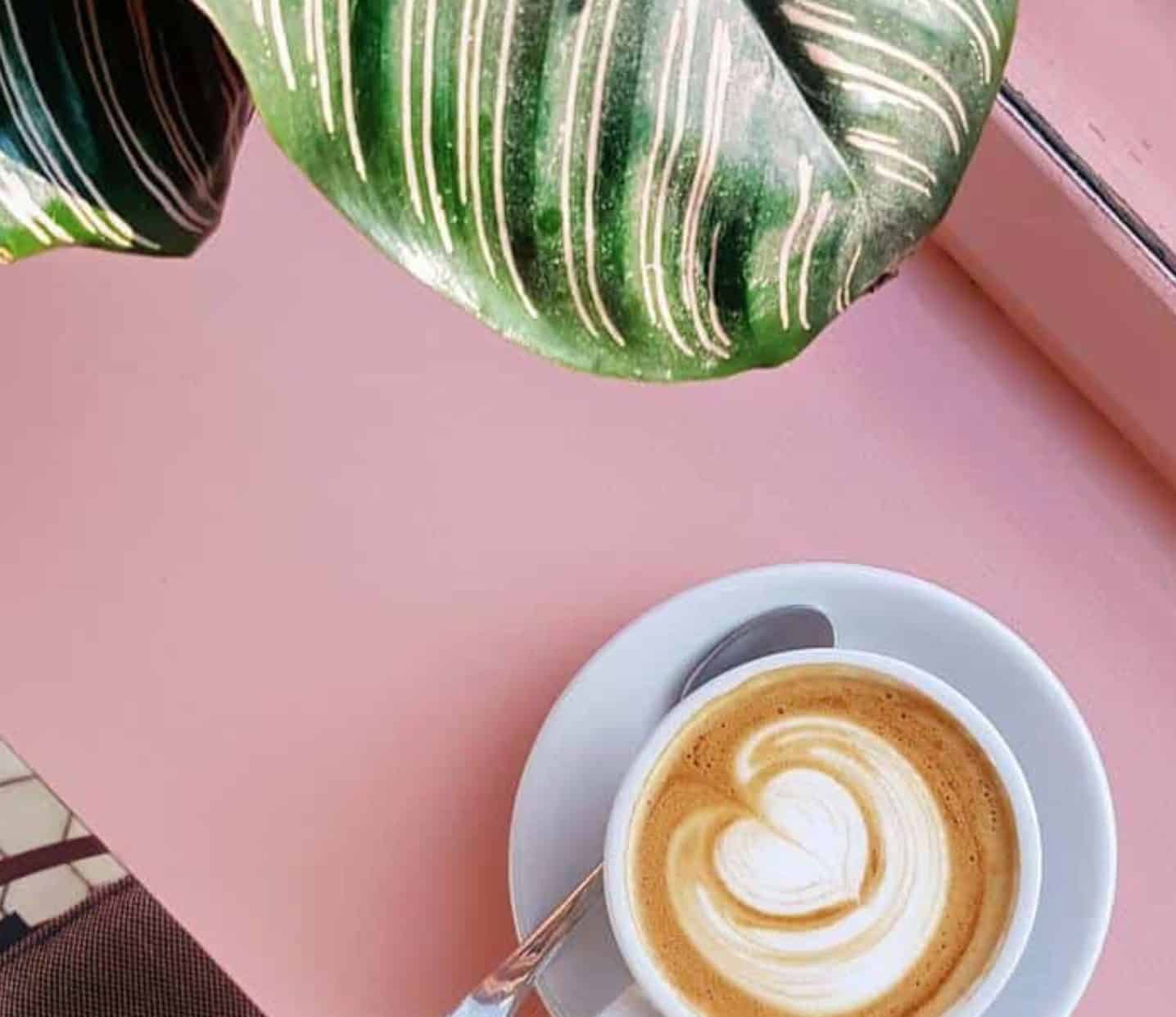 Microfoam: What It Is & How To Perfect It For Espresso Drinks At Home