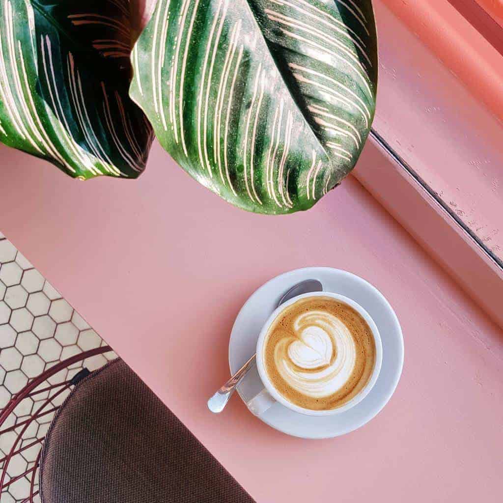 Technivorm Moccamaster KBT vs KBGT