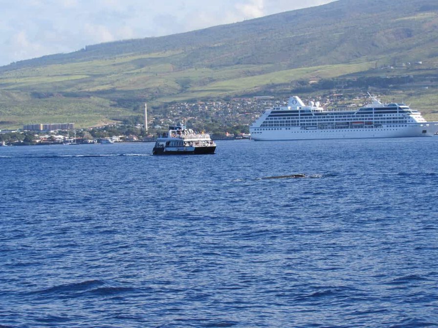 Maui from a Cruise Ship: 27 Shore Excursions in Kahului & Lahaina