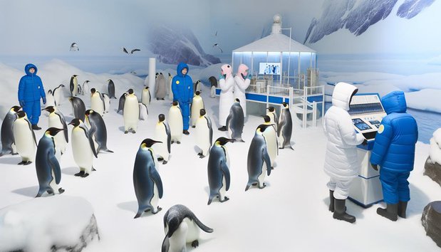Top 3 Zoos That Has Emperor Penguins