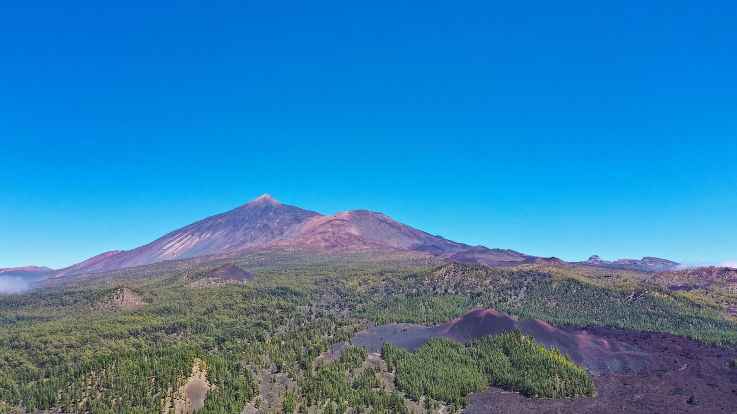 12 Fun Facts About the Canary Islands You Didn’t Know - Africa Wanderlust