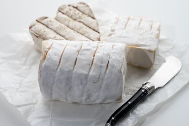 Neufchâtel Cheese vs Cream Cheese Difference Comparison