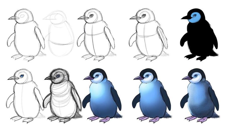 Understanding The Little Blue Penguin Life Cycle
