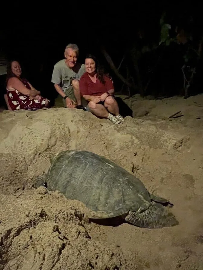Selingan Turtle Island Borneo: Is it Worth Visiting?