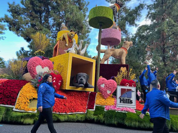 The Ultimate Rose Parade and Rose Bowl First-Time Visitor Guide