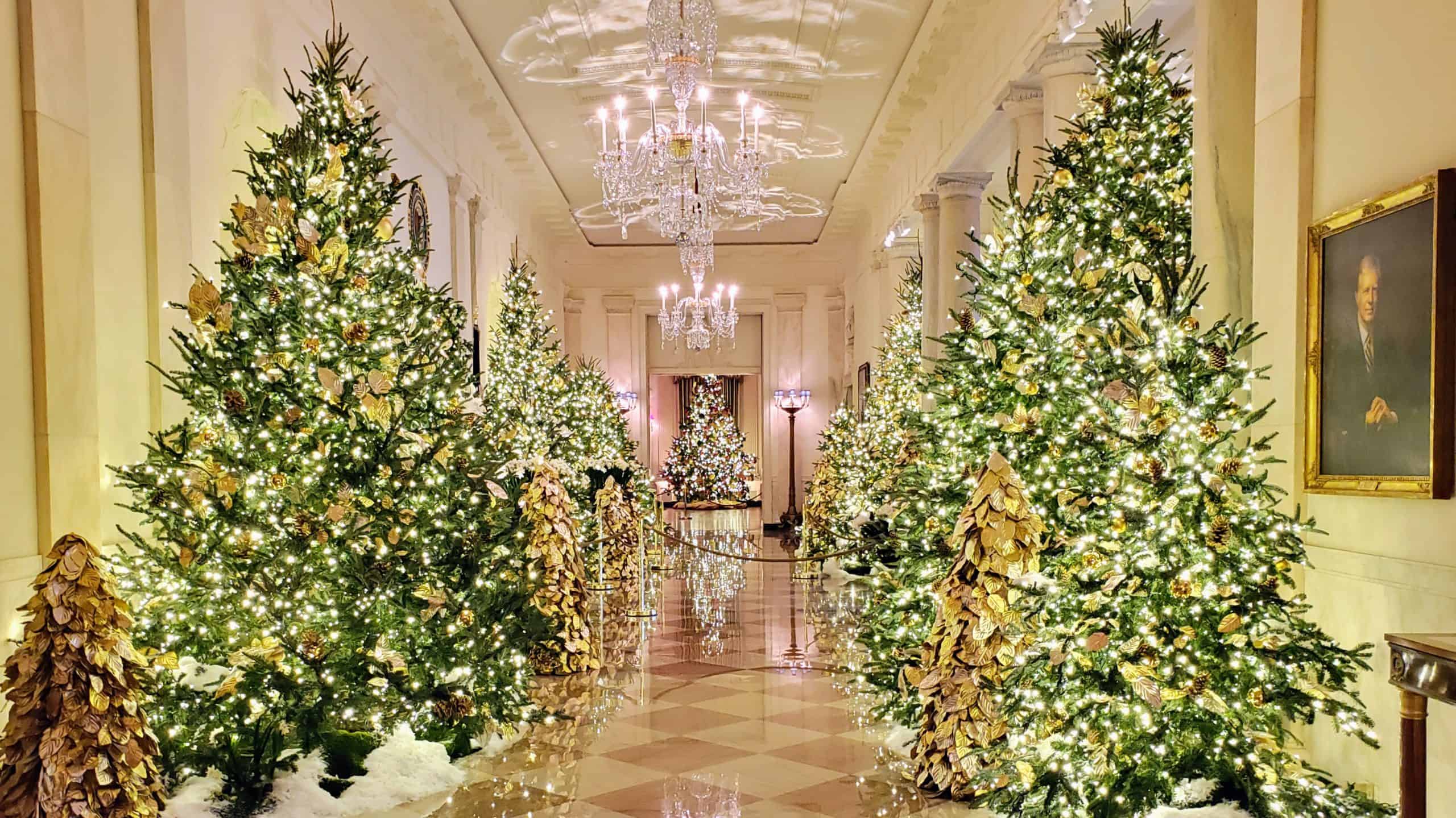 Unforgettable Holiday Parties: Unique Entertainment Ideas for Every Event