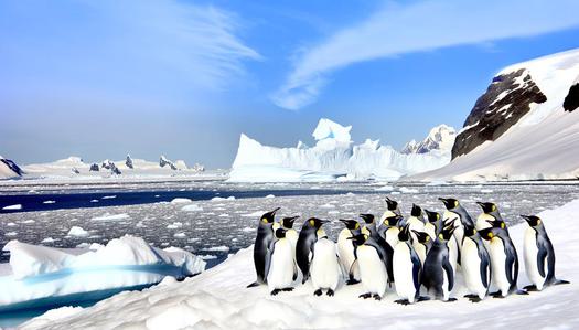 Do Penguins Live On These 10 Maps?