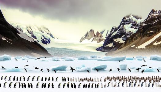 Do Penguins Live In Madagascar: Exploring Their True Habitats