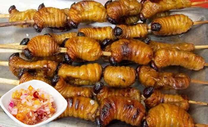 Gusano Suri - Comidas Peruanas - Ingredientes Tipicos de la Selva
