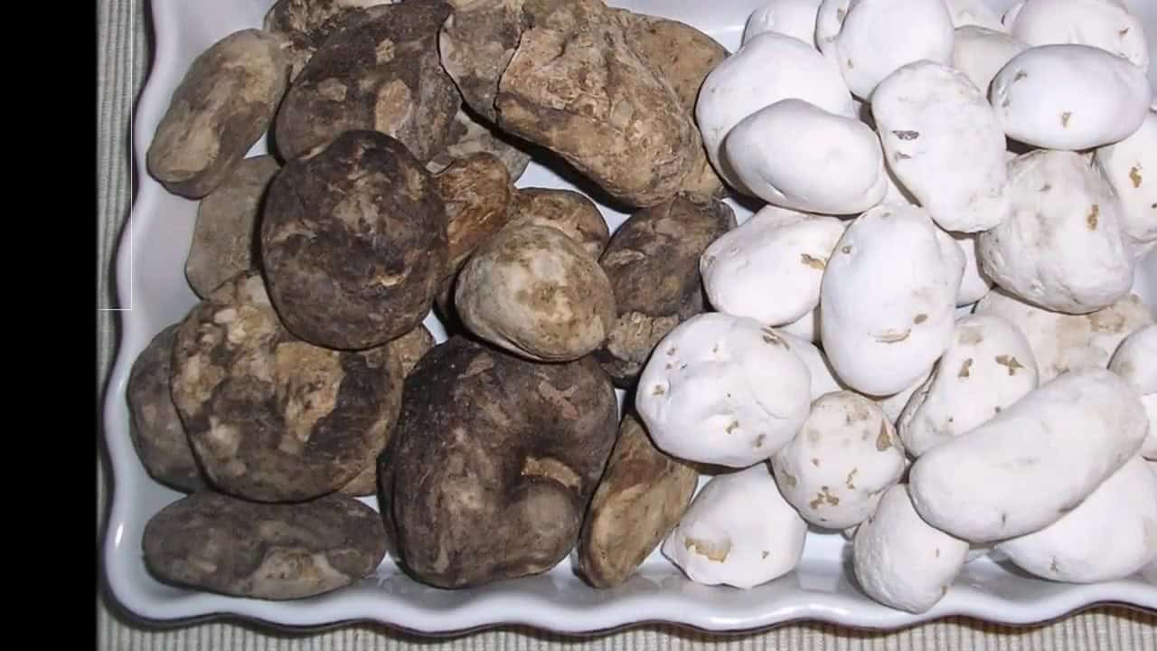 Chuño - Ingrediente de las Comidas Peruanas - Receta