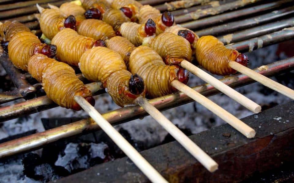 Brochetas de Suri Gusano - Platos Tipicos de las Selva - Receta